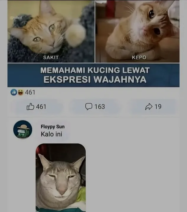 Meme from FB - Lahelu