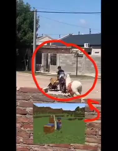 wandering trader in real life (special 43 upvote) - Lahelu